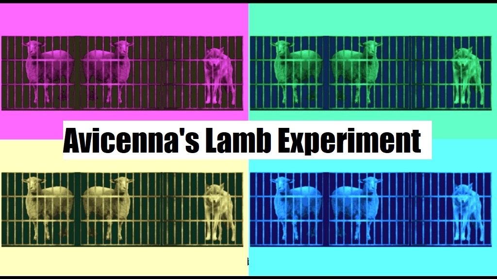 Avicenna's Lamb Experiment - E-Motivation